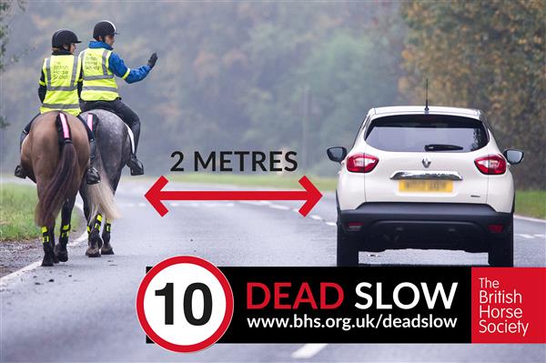 British Horse Society 'Dead Slow' Campaign - Neighbourhood Matters